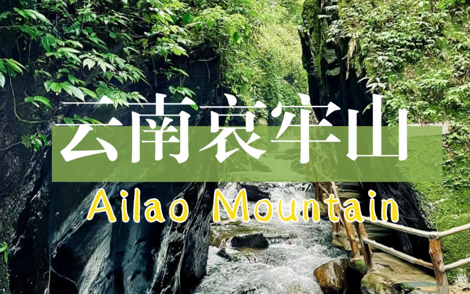 哀牢山/镶嵌在植物王国凤冠上的一颗绿宝石/森林覆盖率85%/云南乃至...