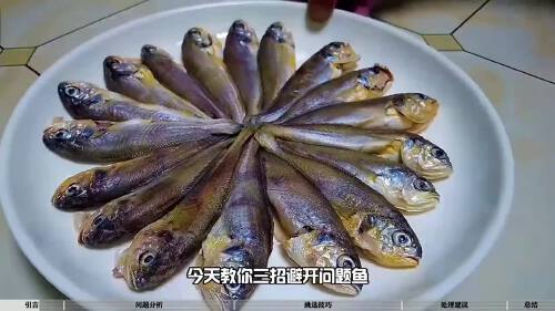 拼多多买鱼敢吃吗?实测结果惊掉下巴!