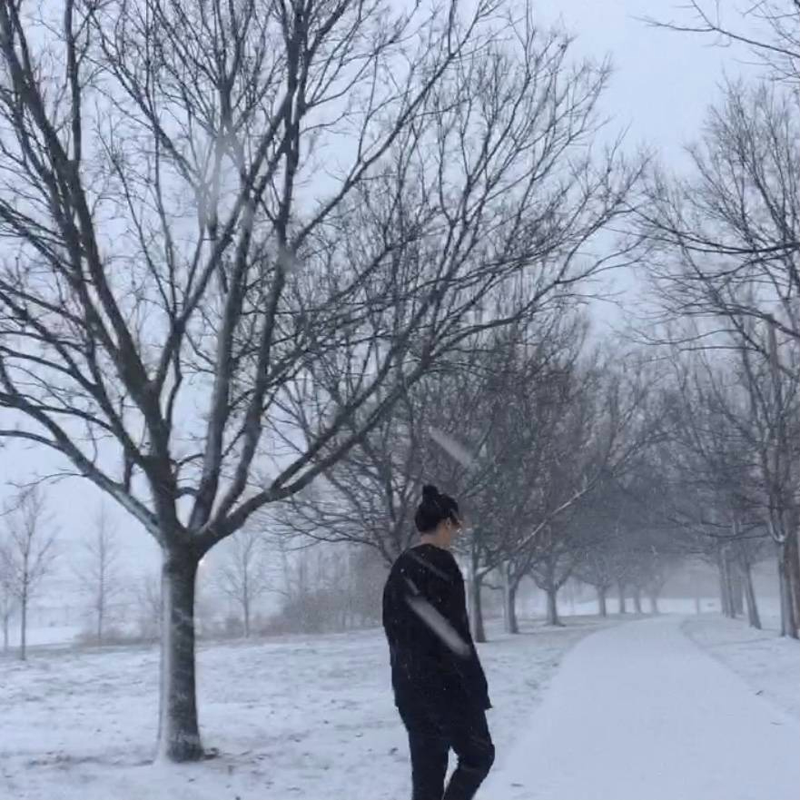 阿晨的金融武器库 