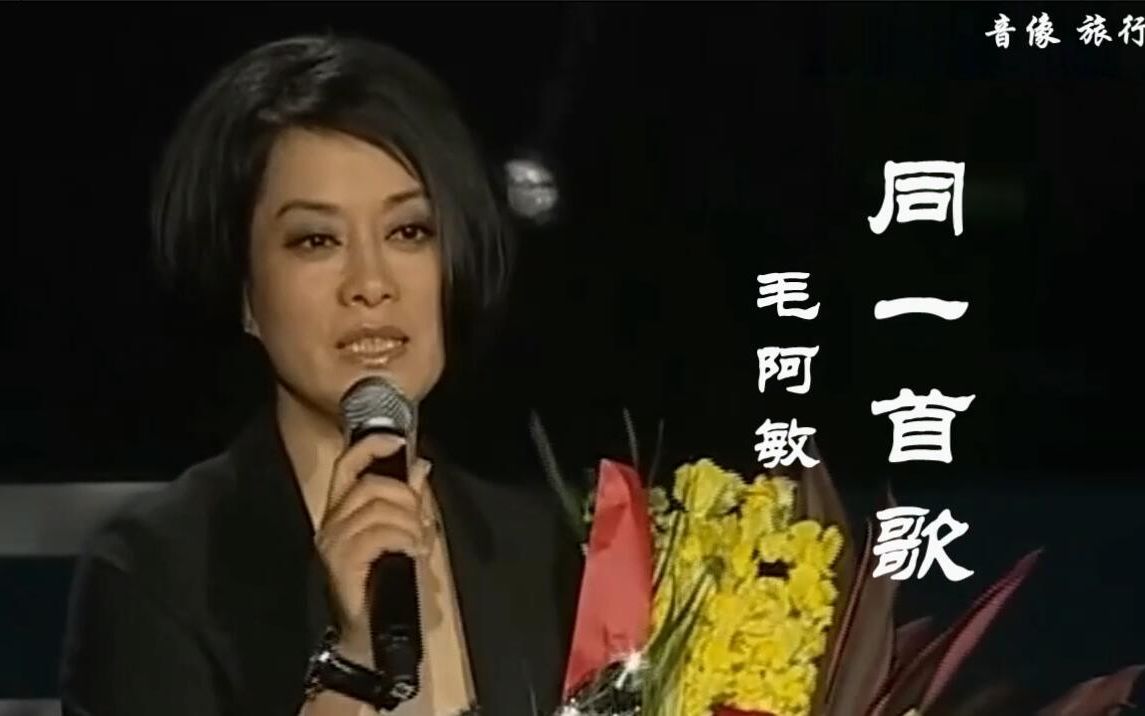 同一首歌-毛阿敏