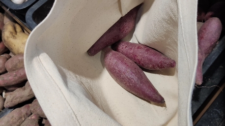 减少塑料袋使用 从自身做起