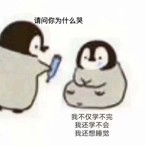 瑶瑶要去学习了 