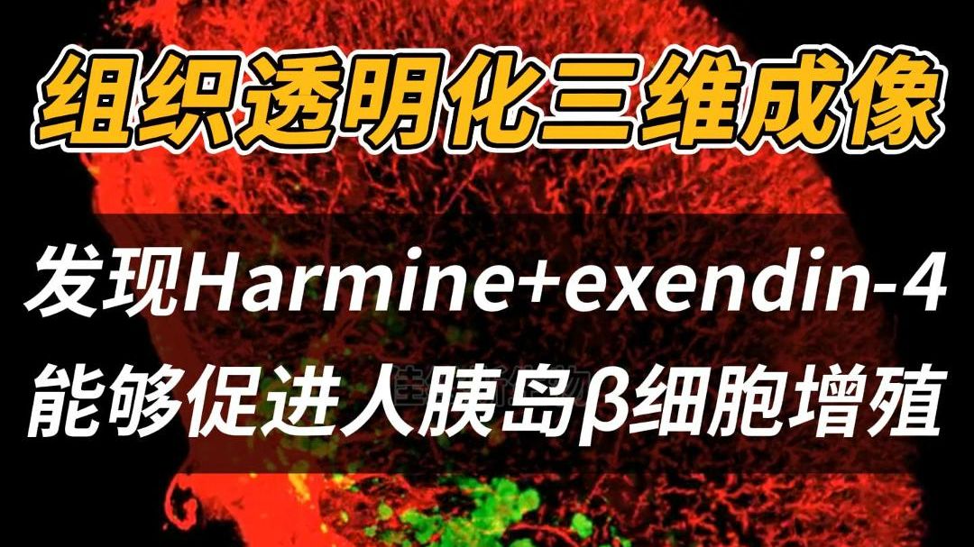 重大突破!组织透明化三维成像技术助力糖尿病研究,成功逆转小鼠糖尿病!