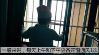 每天这两个时间点开窗换气, 方能保证家里空气质量最好!