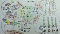 一年级《分类与整理》思维导图