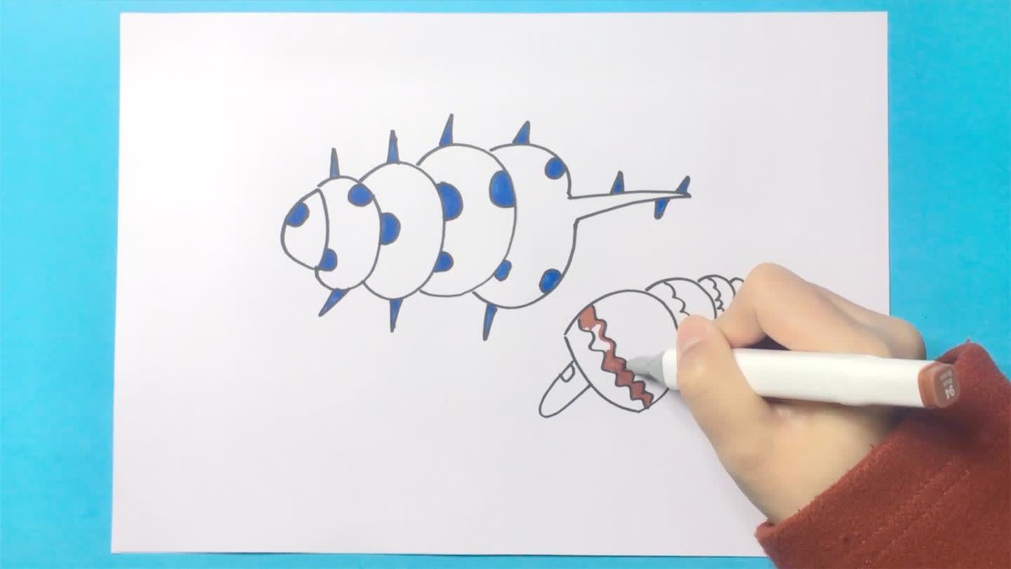 博卡简笔画:凤凰螺好漂亮,上面还有条纹,我们来练习画吧