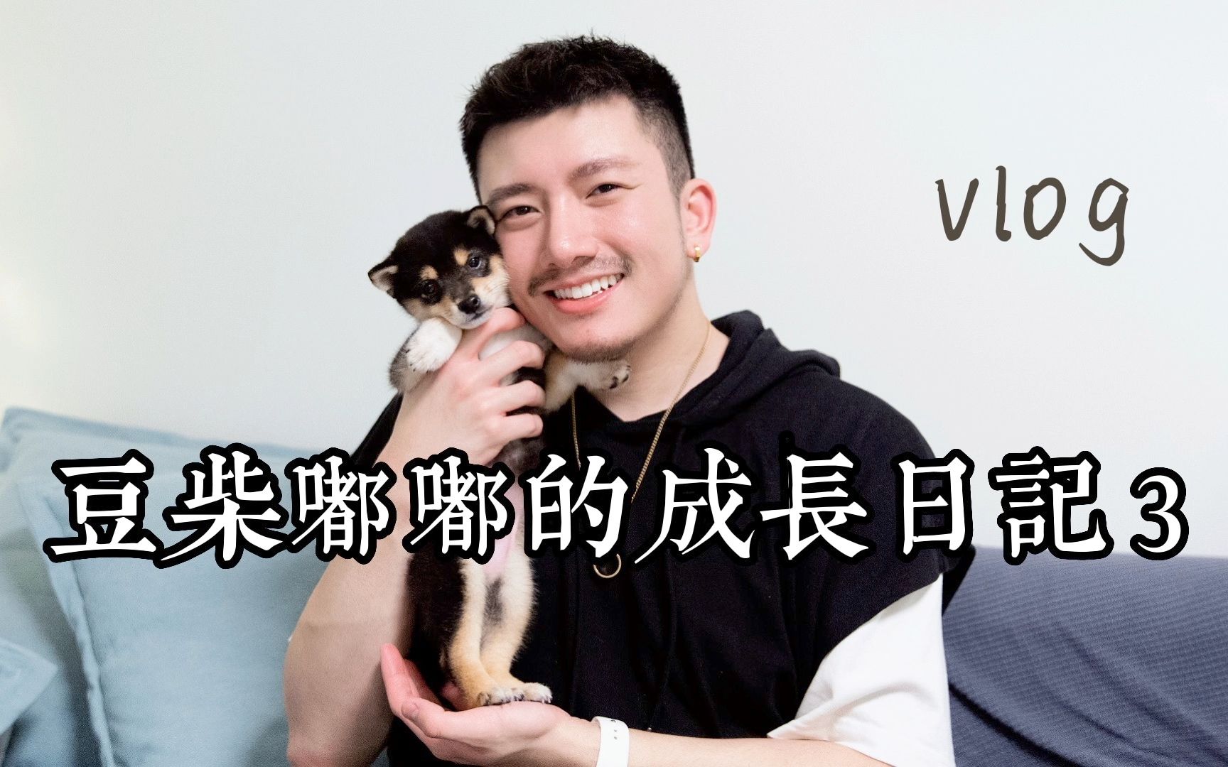 Vlog | 豆柴嘟嘟的成长日记 3 | 小不点黑豆柴宝宝的日常