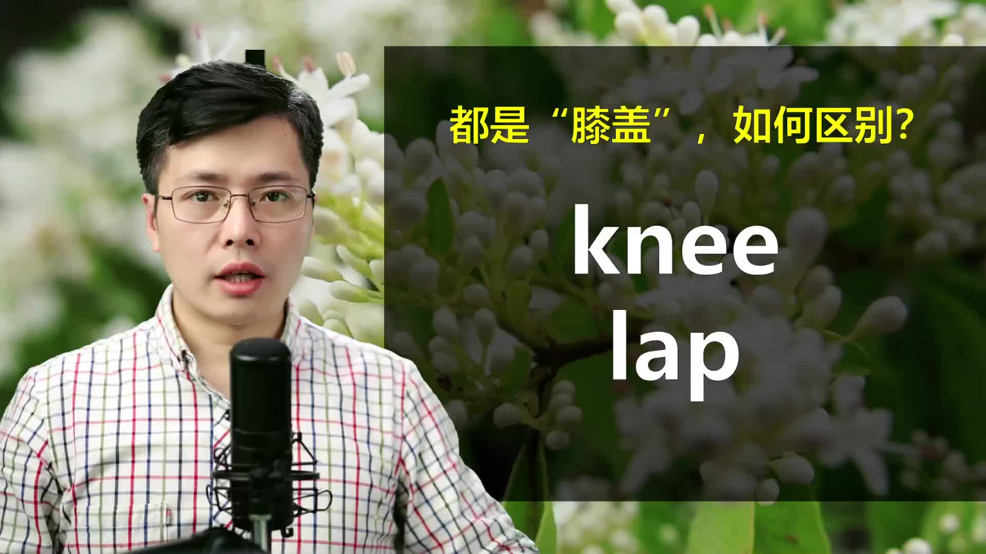 英语单词knee和lap都有膝盖的意思,如何区分?小技巧学单词语法
