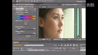 AE CS4基础教程 高手之路 调色技巧-整体调测