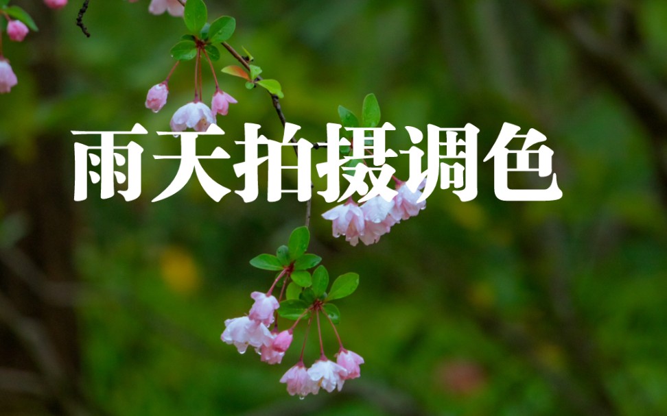 新手入门操作调色软件lr教程