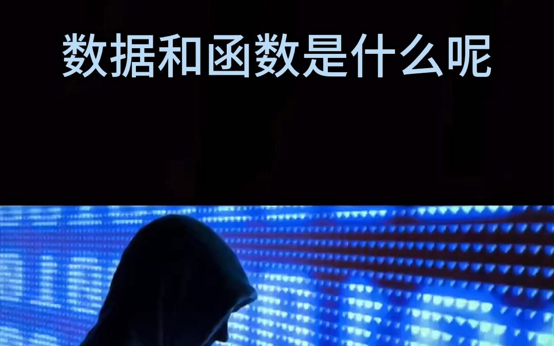 数据和函数是什么呢?