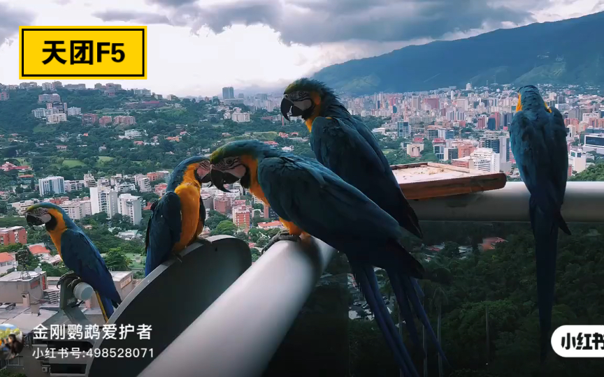 我喜欢发现生活中的美好,哪怕路边的一朵野花也是极美的。