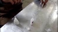 胶水使用方法