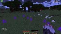 【我的天na解说】我的世界狼人mod介绍