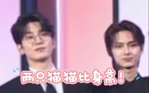 【佑灰】看来圆佑这次穿的鞋应该比咪崽的高吧!