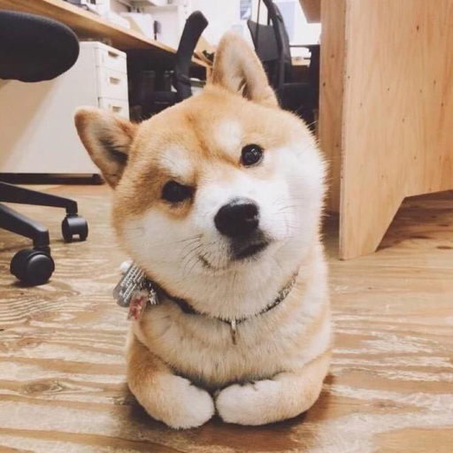 发发面 