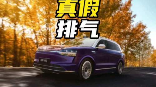 小排量也嚣张?这些车排气管比缸数还多!