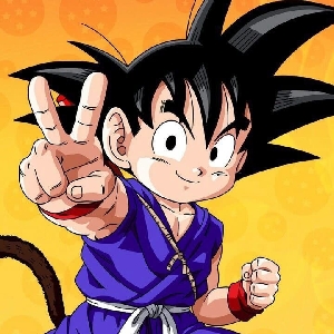 feiniao6 