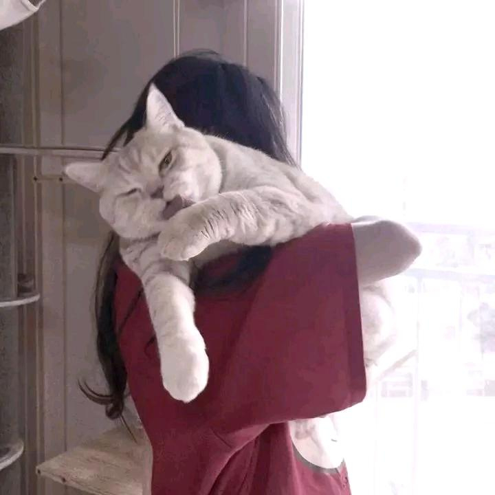 老六爱主播 