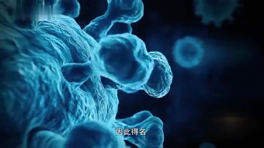 新型冠状病毒是什么?为何总在冬天爆发?
