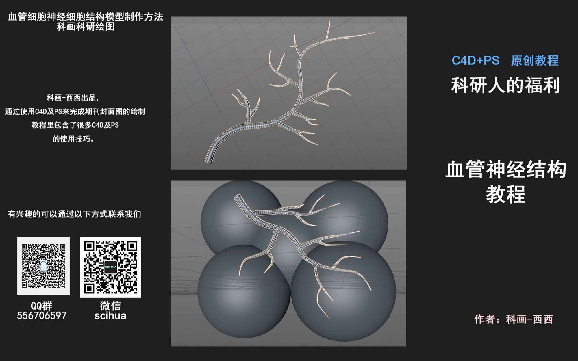 科研绘图-Nitrovein插件制作血管细胞神经肿瘤细胞模型结 科画科研绘图