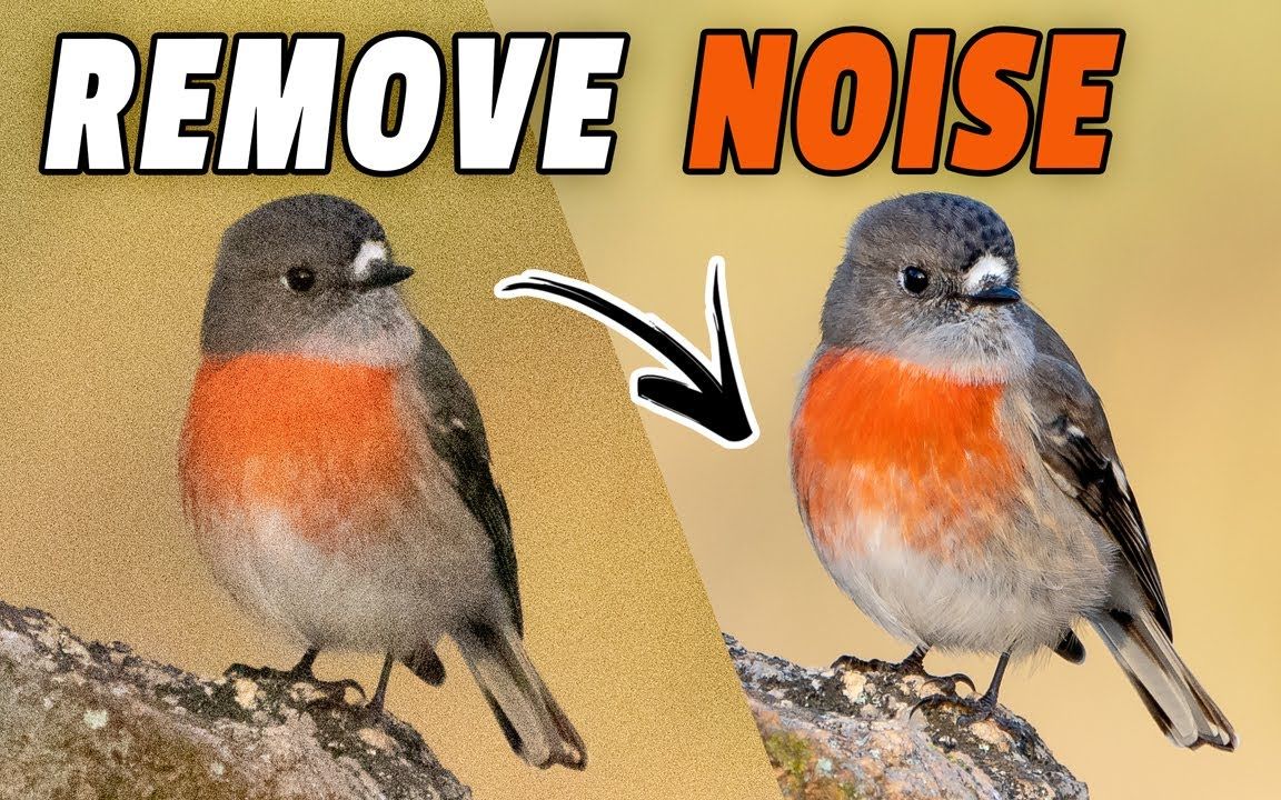 图像噪点是怎么被简化了的?是什么原因造成的,如何消除它!