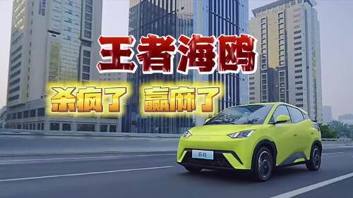 比亚迪海鸥,凭什么卖这么火比亚迪新能源汽车小型新能源车