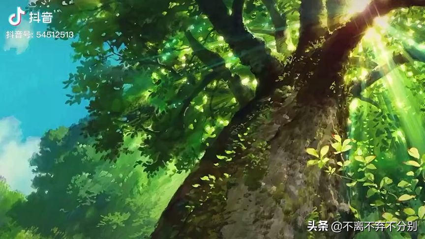 每个人都在用自己的认知来看这个世界,那就是你的世界