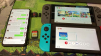 switch被ban了还有没有转移动森存档的可能性?