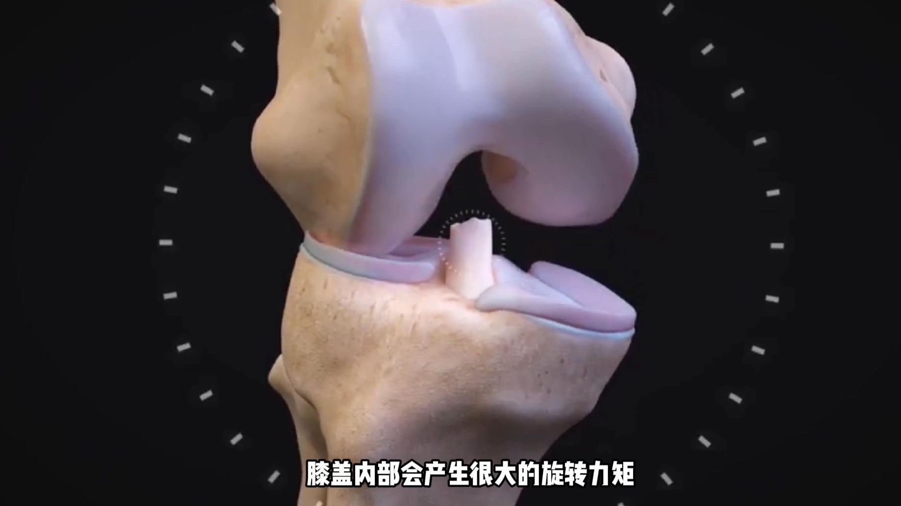 NASM切片|有前交叉韧带损伤的舞者来看