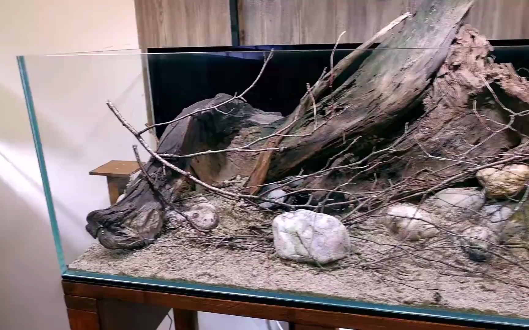 【鱼缸教程】鱼缸造景!教程