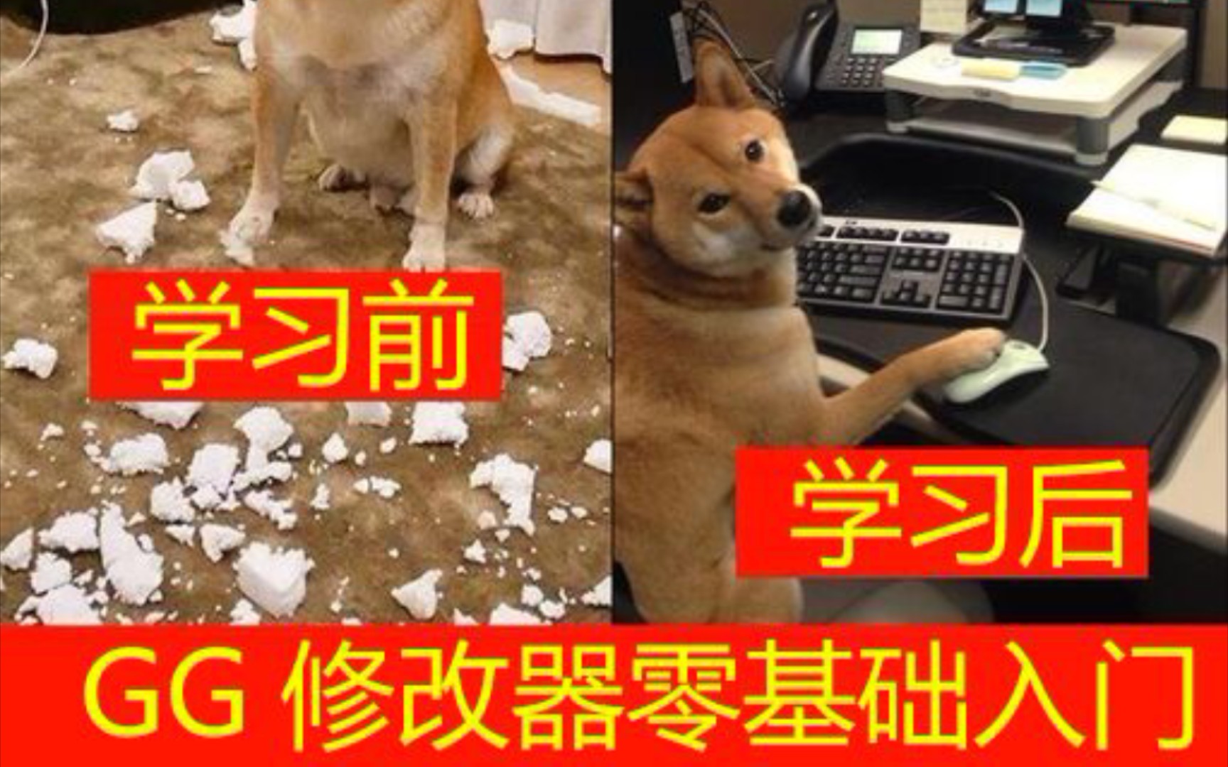 GG修改器 迷你世界皮肤修改