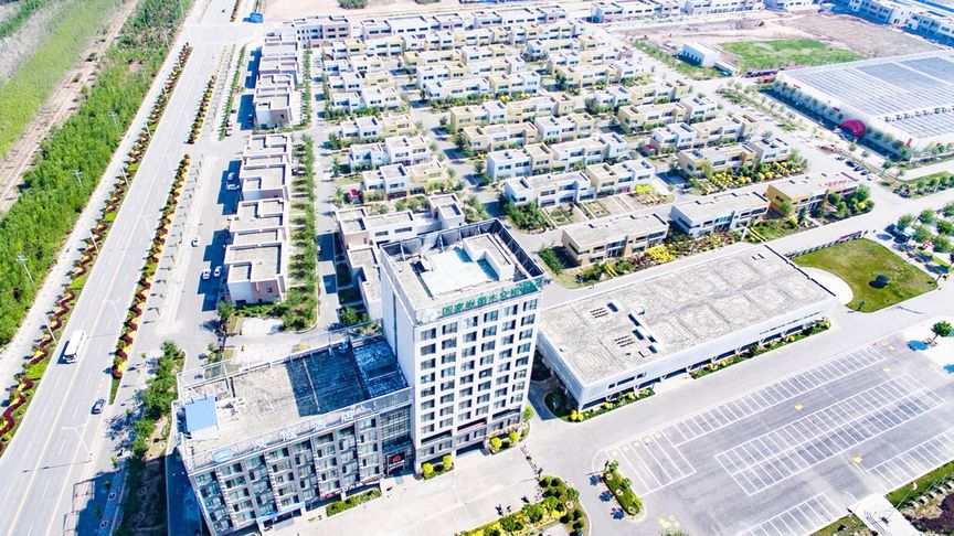 第七届新疆苗木花卉博览会宣传片