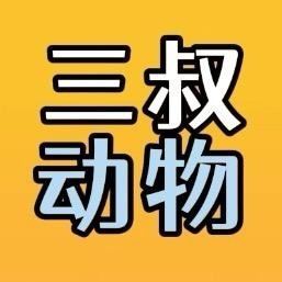 三叔动物园