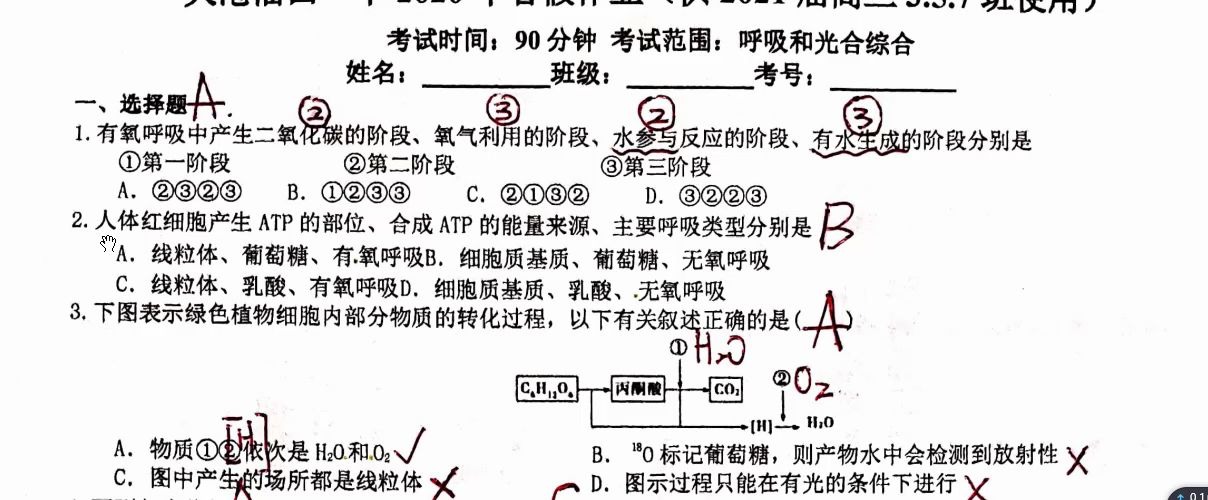 作业12呼吸和光合综合