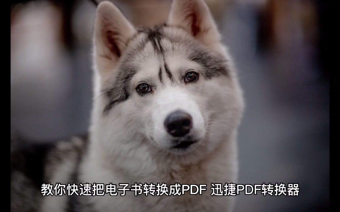 电子书可以转换成PDF吗?这个方法试过了吗