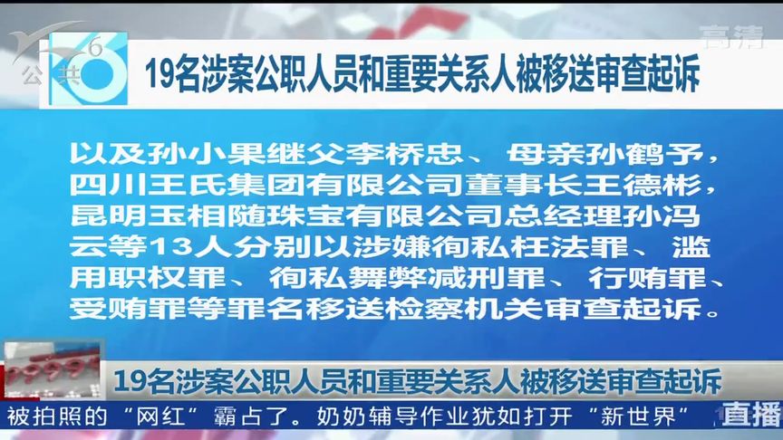 孙小果再审案件开庭审理