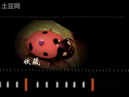 央视《新闻周刊》2006年版宣传片(不完整)