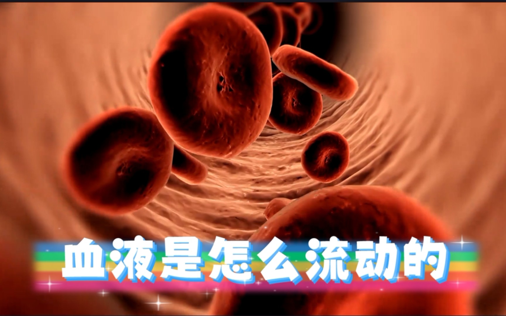 100秒带你看人体血液是怎么流动的