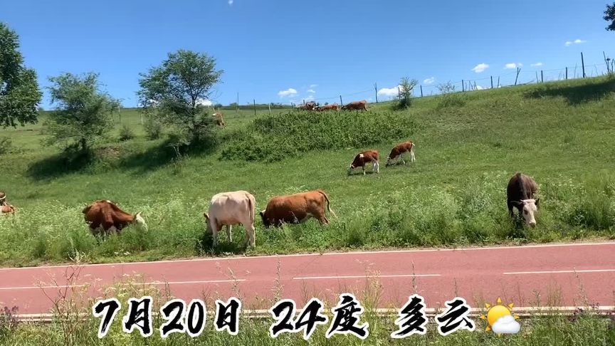 无需任何滤镜!#塞罕坝国家森林公园