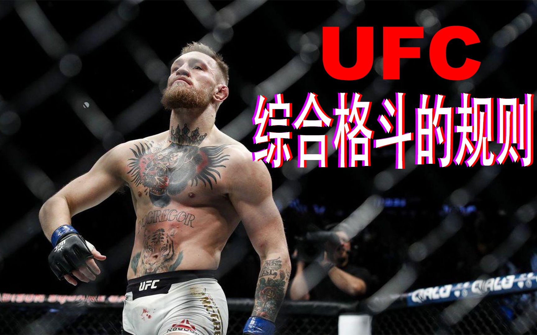 UFC的规则,也是很多MMA综合格斗的规则