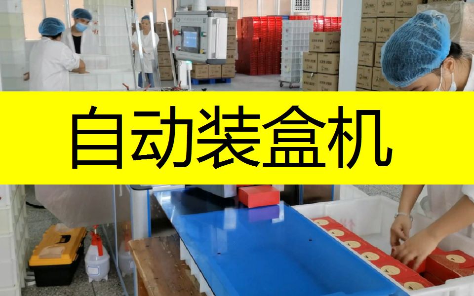 灯泡射灯装盒机 筒灯自动折盒机