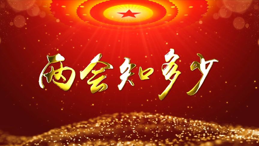 两会知多少丨他们为2020建言献策