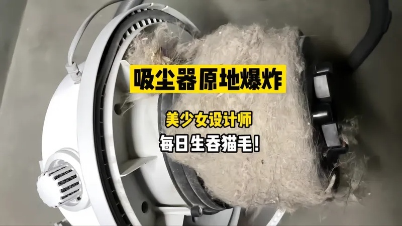 猫毛多得都能织毛衣了吸尘器:做个人吧!