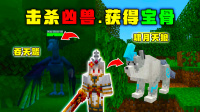 我的世界完美世界黑球 第2集 MC完美世界2.击杀两大凶兽吞天鹫,啸月...