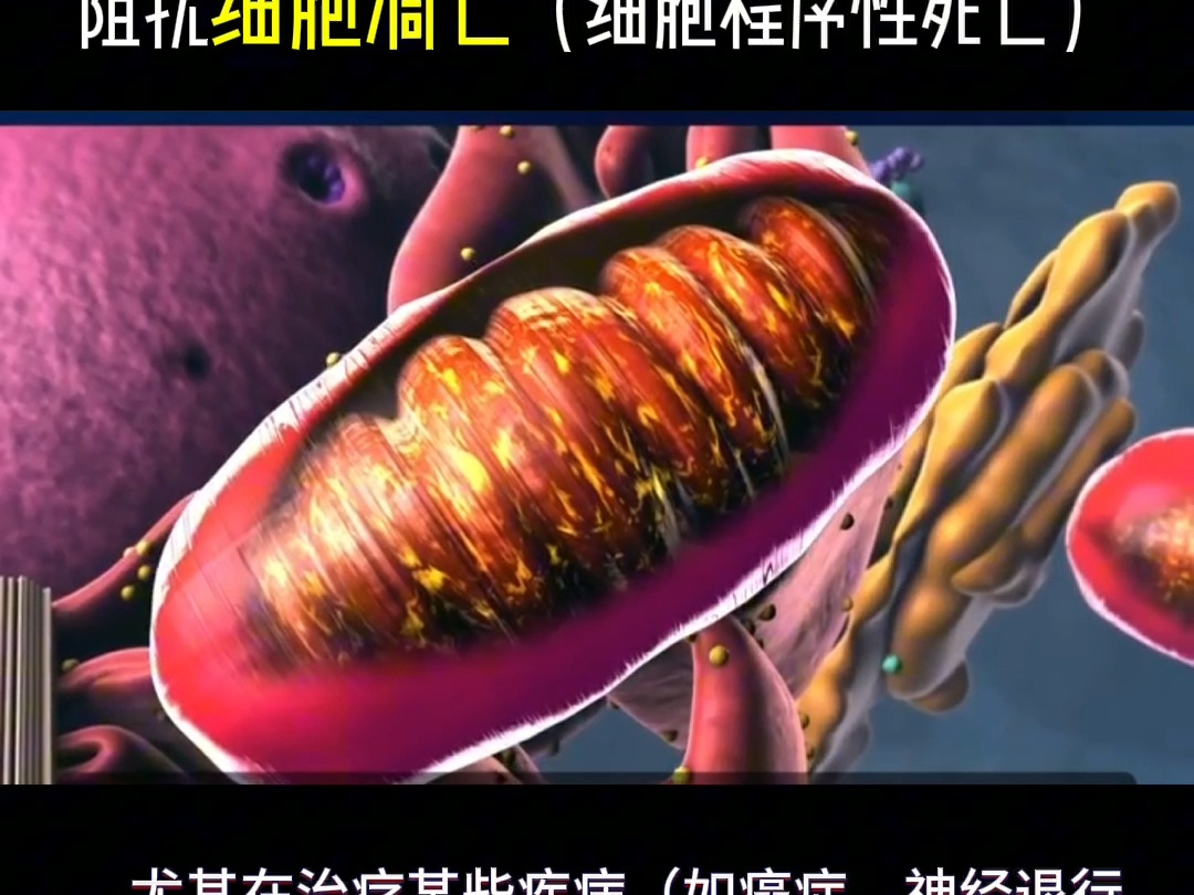 科大世芯|阻扰细胞凋亡(细胞程序性死亡)