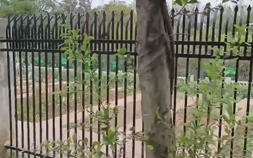 一个学子送给南八最有意义的纪念礼