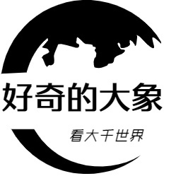 好奇的大象 