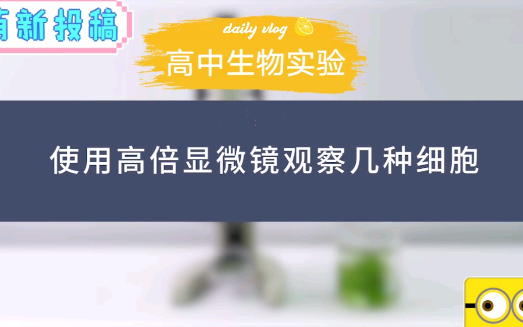 高中生物实验1使用高倍显微镜观察几种细胞