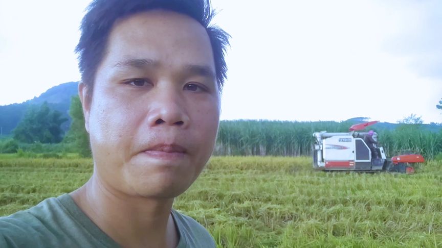 又是一个丰收稻谷季节。十分钟收完一块田